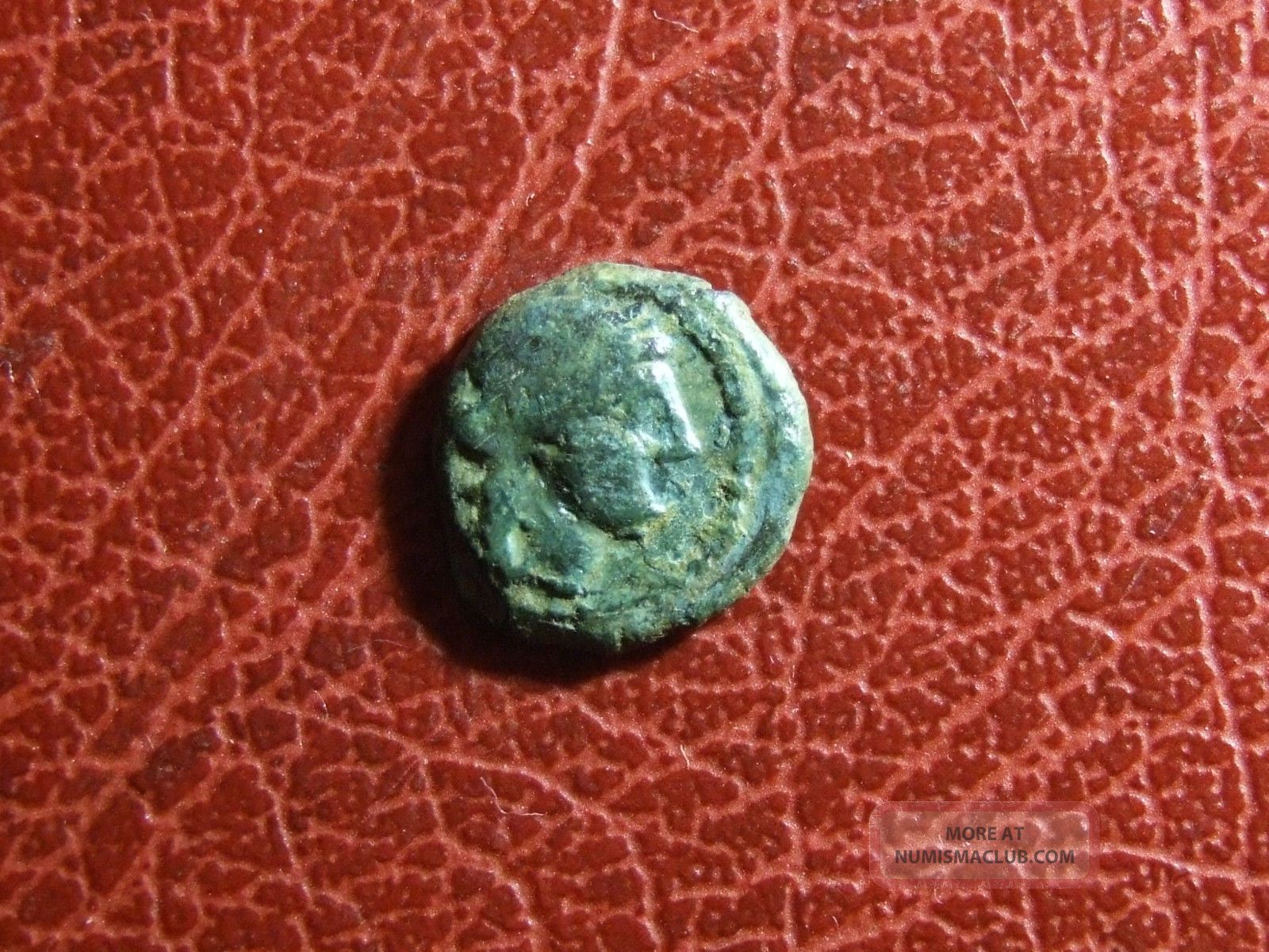 Gaule Transalpine Apollo ' S Head Bull Charging Ae15 Coin To Identify