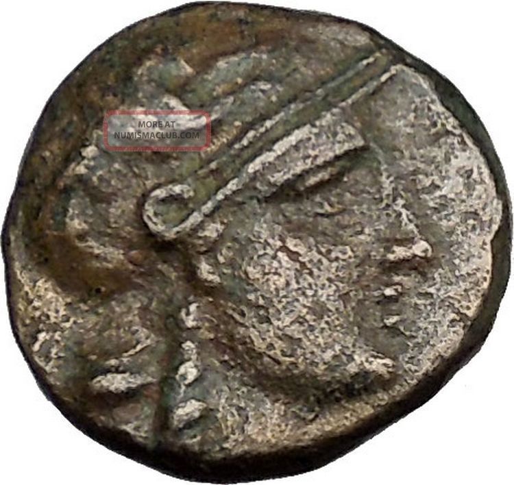 Pergamon 282bc Rare Ancient Greek Coin Athena Cult Coiled Cosmic ...