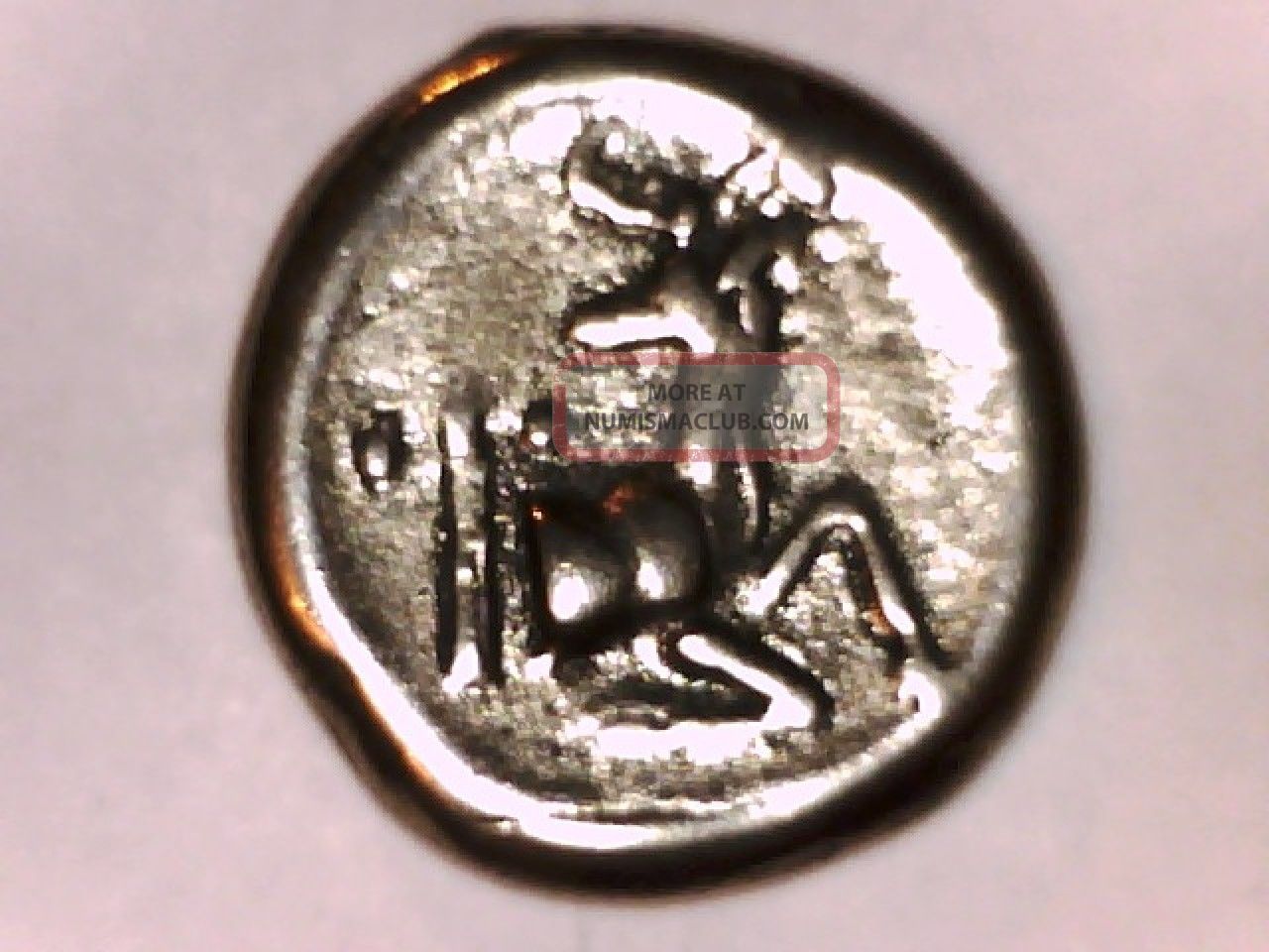Greece Greek Turkey Asia Minor Ionia Ephesos Tetradrachm Bee / Stag Coin
