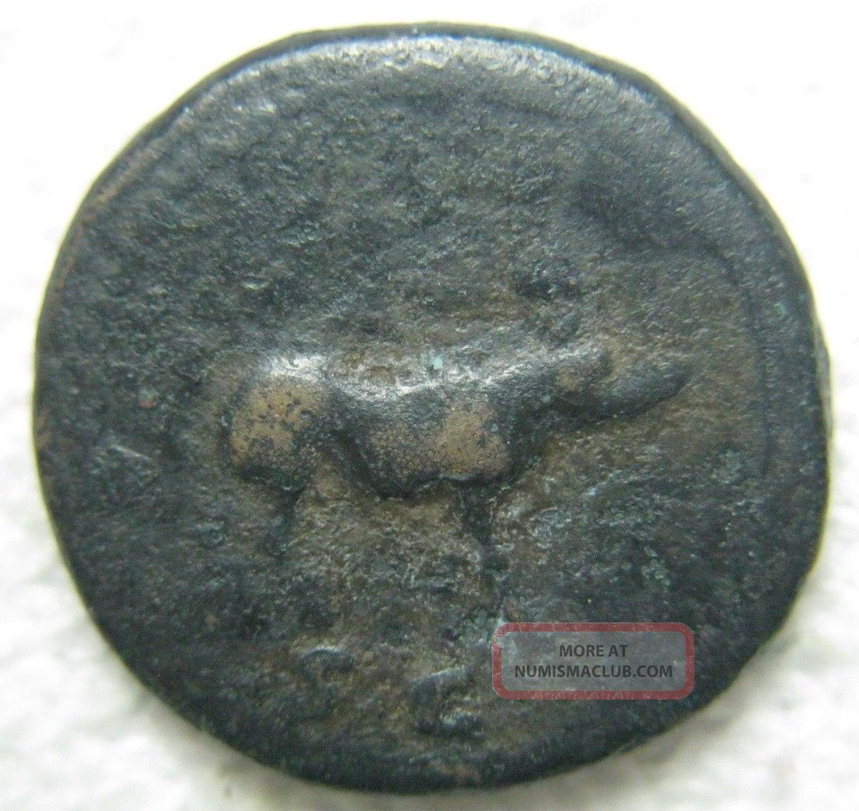 Trajan Hercules / Boar Quadrans 98 - 102 Ad Authentic Ancient Roman ...