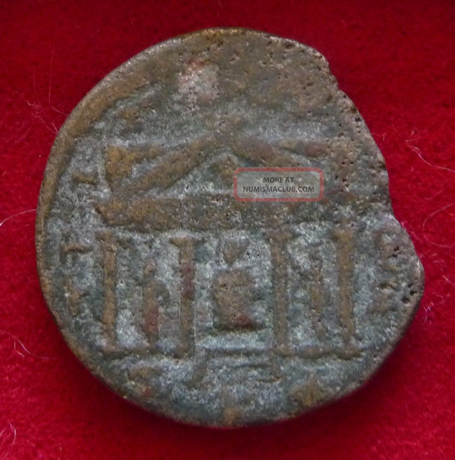 Phoenicia, Tripolis Elagabalus Tetrastyle Shrine Zeus Agios Within Ae27