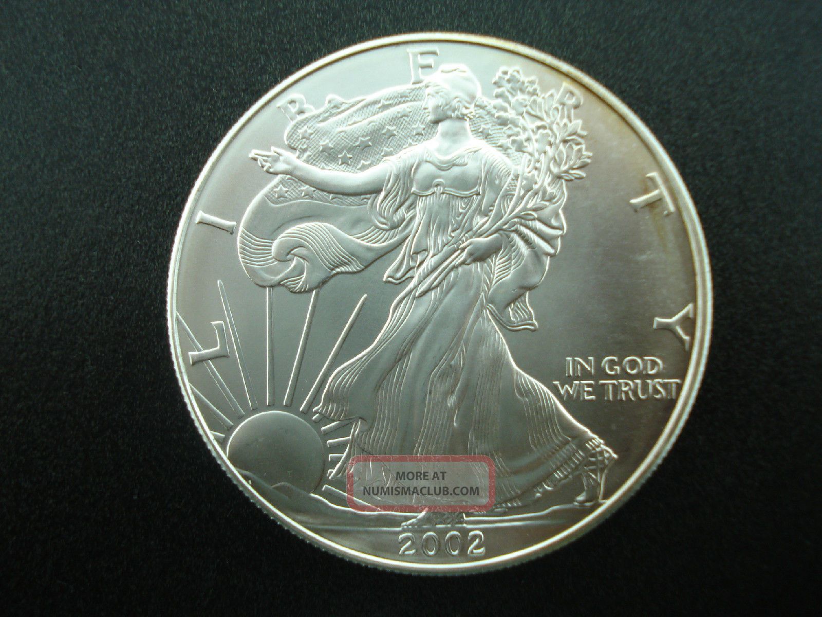 2002 Unc. American Eagle Silver Dollar $1 Coin Silver Bullion