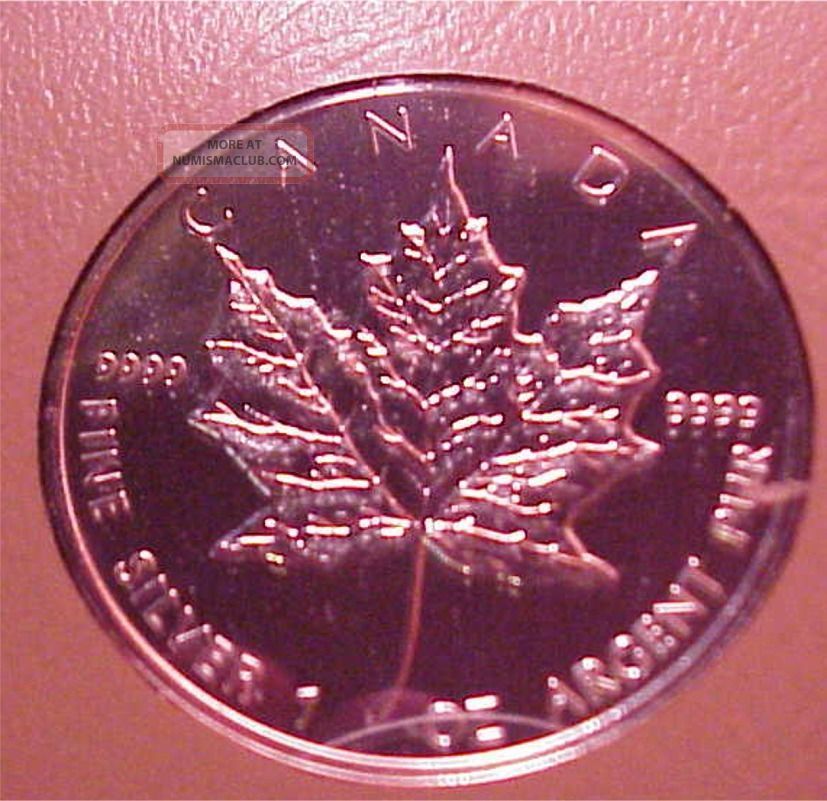 1988 - 2004 Canadian Silver Maples With Dansco Album