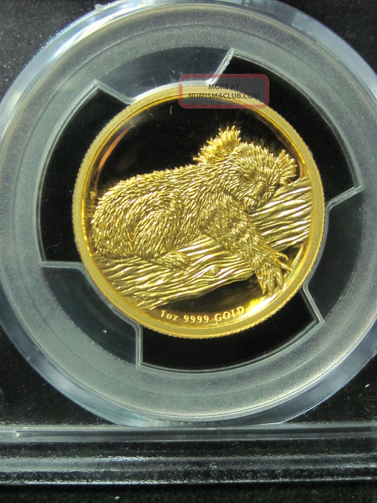 2012 - P 1 Oz Proof Gold High Relief Koala Pcgs Pr - 69 First Strike