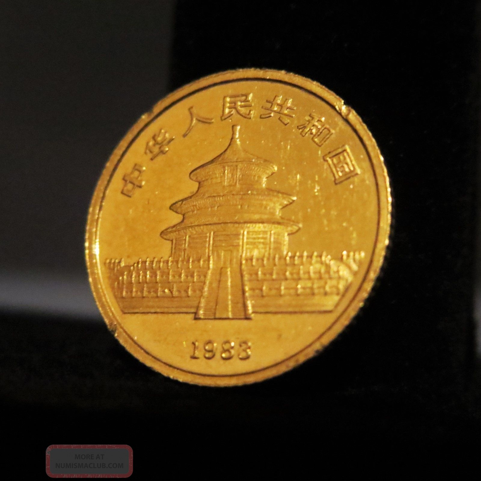 1983 China Gold Panda 10 Yuan 1/10 Oz Coin 3. 1g. 999 Solid Gold