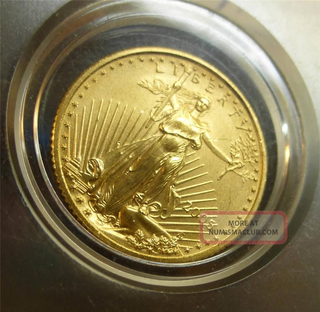 2005 1/10th Ounce Fine Gold $5 American Eagle Gold Bullion Coin, Tenth ...