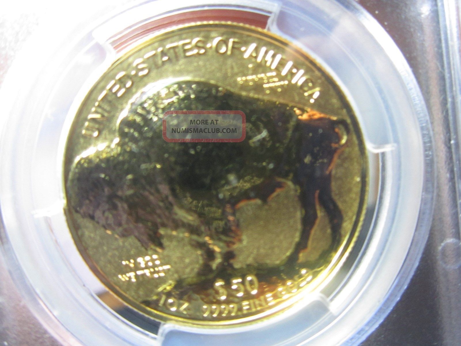 Reverse Proof Buffalo Pcgs 2013 - W 1 Oz Rev Proof $50. 00 A First ...