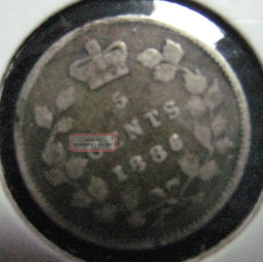 1886 5c Large 6 Canada 5 Cents Small Date