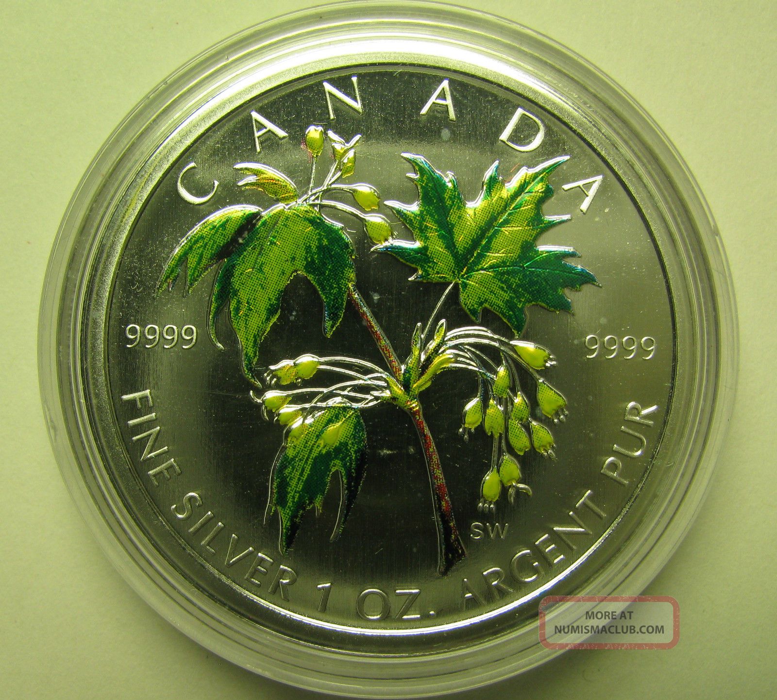 2003 $5 1oz. 9999 Silver Maple Leaf Sml Summer Coloured Canada