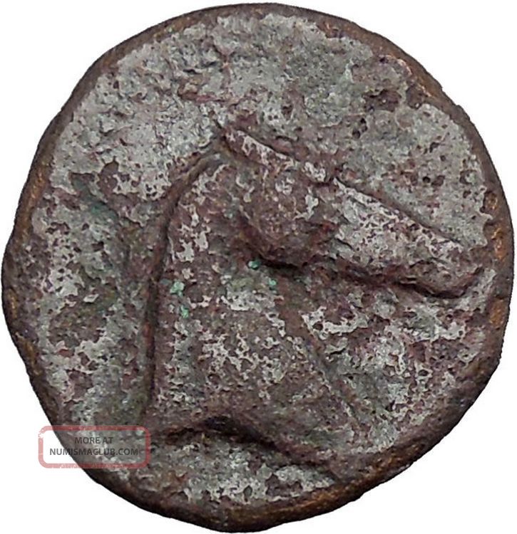 Carthage In Zeugitana 300bc Tanit Cult & Horse Rare Ancient Greek Coin ...
