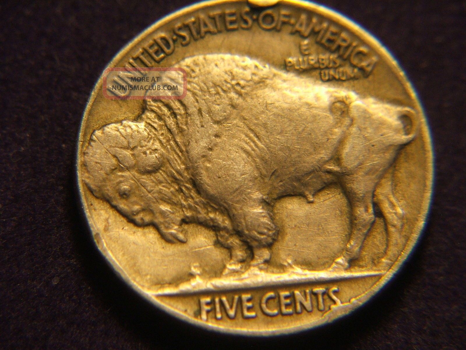 Buffalo Classic Style Hobo Nickel Folk Art Carving Five Cent Coin