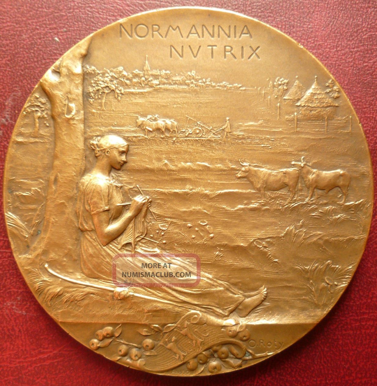 Art Nouveau Dated 1896 Large French Gilded Bronze Medal By O. Roty