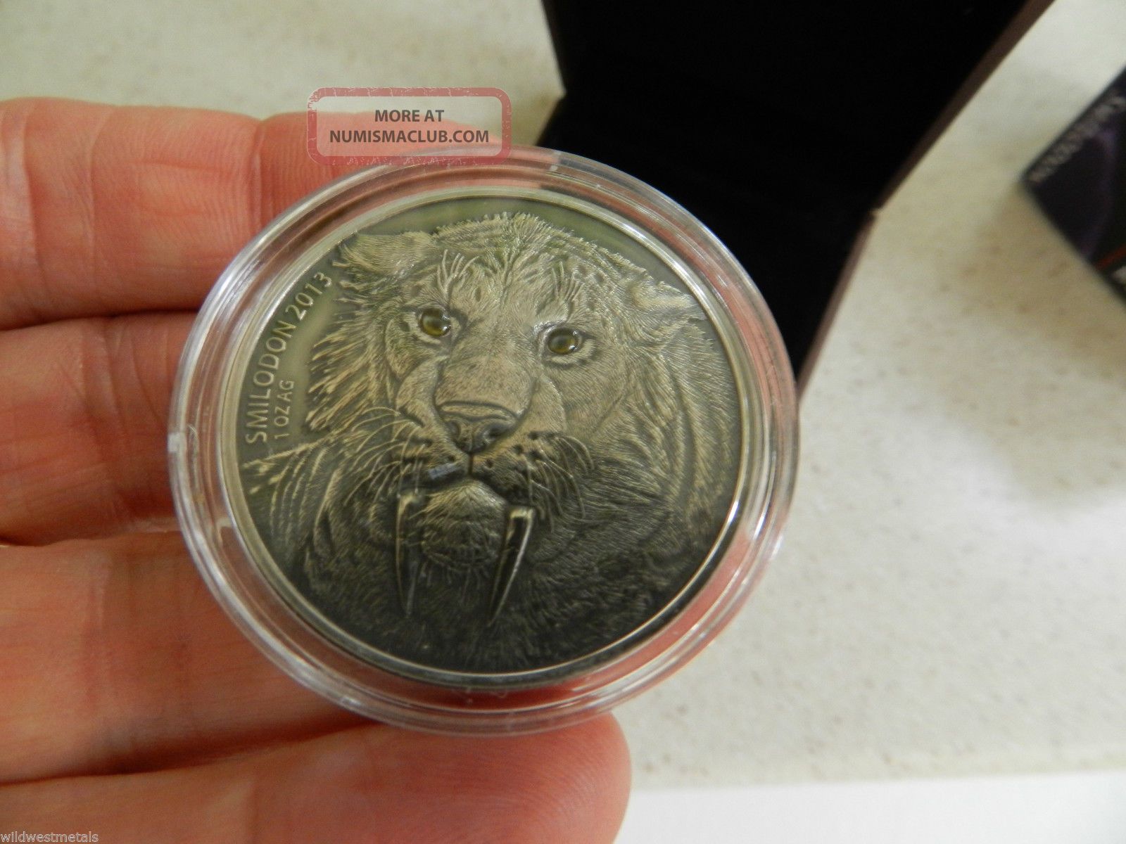 Saber Sabre Thooth Tiger 2013 1 Oz. 999 - 0038 Of 500 - Rare - Rare