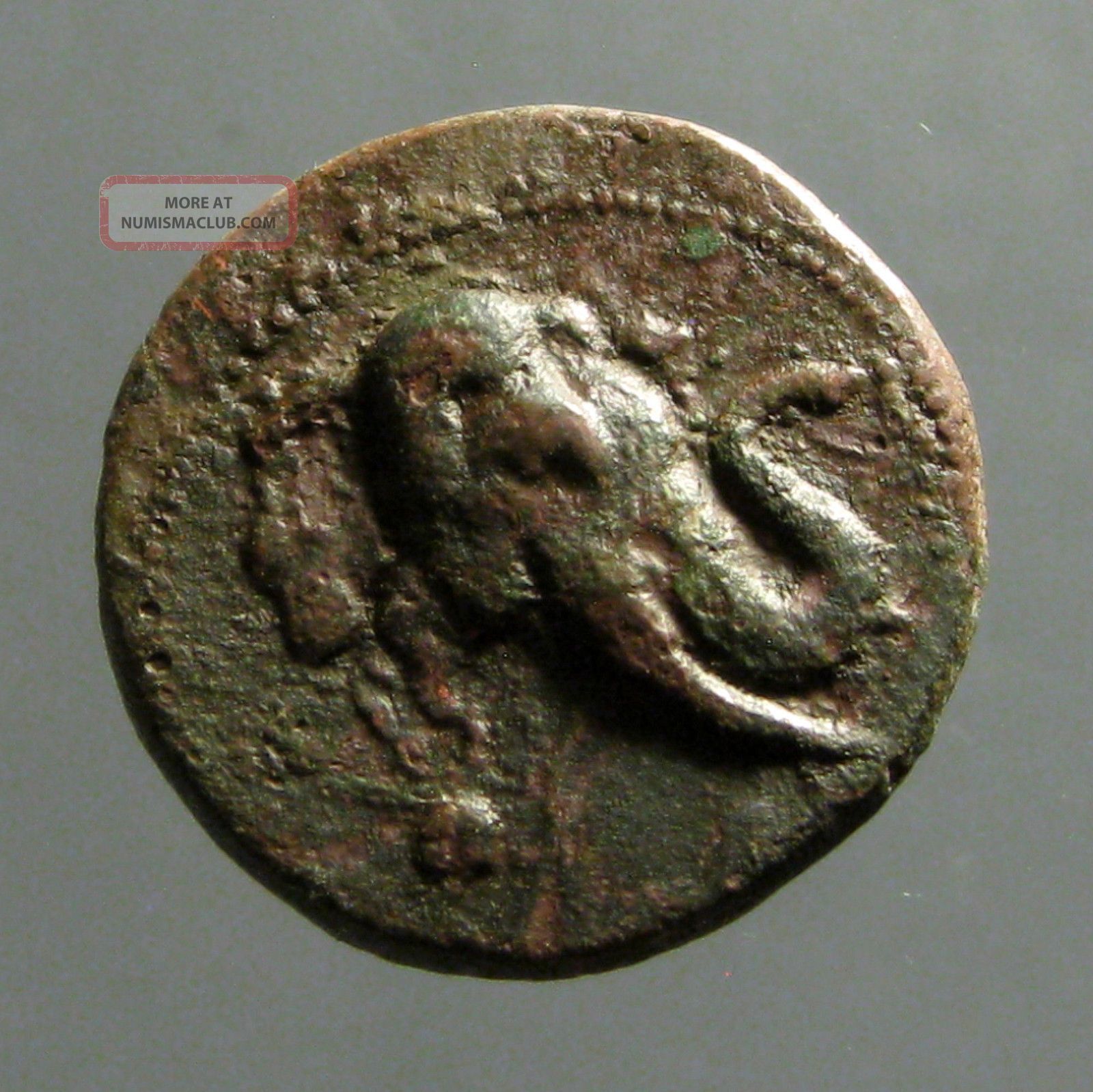 Demetrios I Of Bactria Bronze Ae27_rejoicing Elephant_the Second Alexander