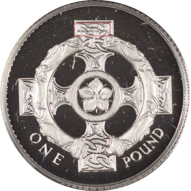 2001 United Kingdom Silver Proof Piedfort One Pound Coin - Box/cert