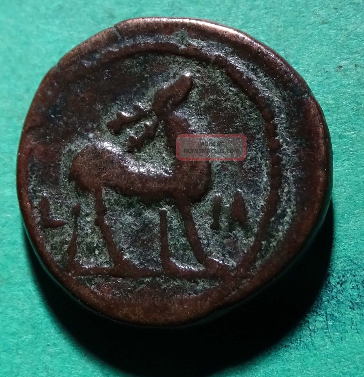 Tater Roman Provincial Ae19 Bronze Obol Of Hadrian Stag Alexandria Egypt