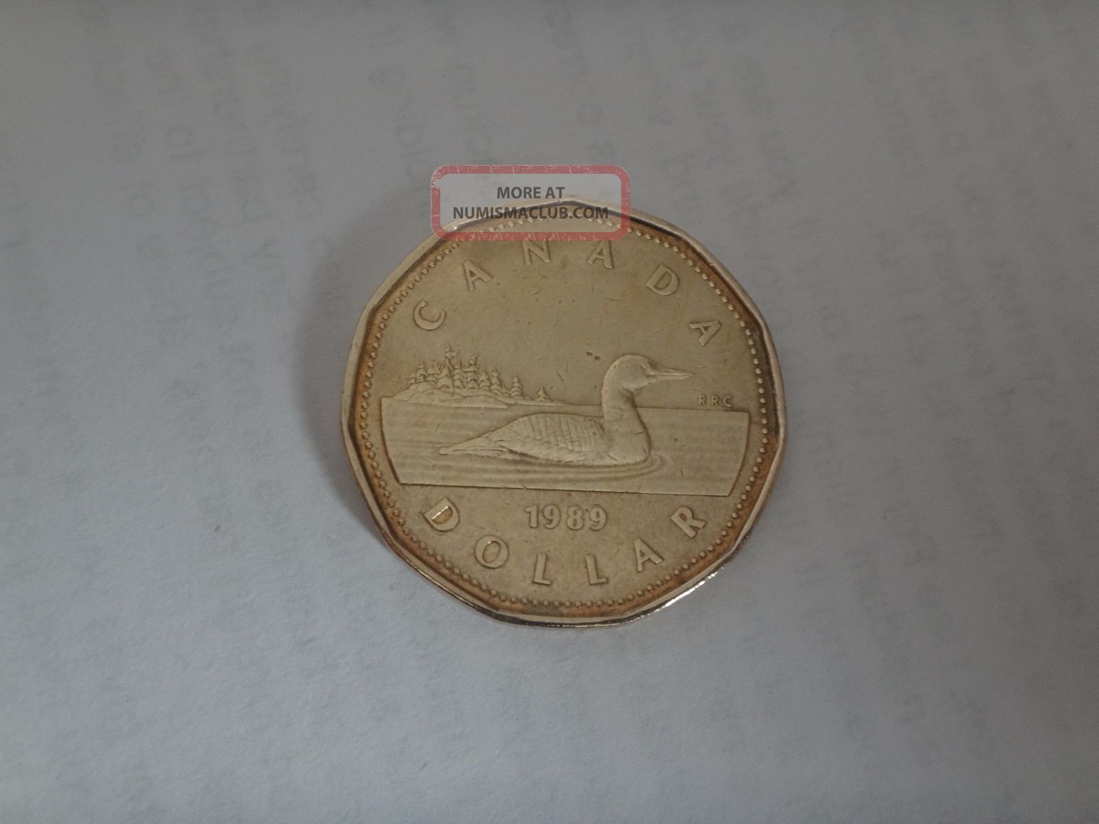 1989 - Canada - Canadian - Dollar - $1 Loon - Loonie