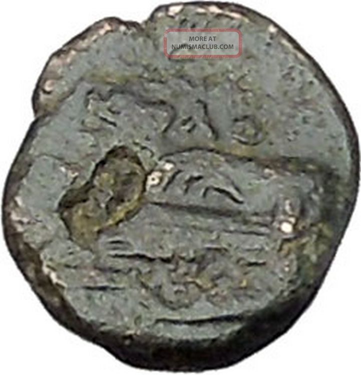 Ancient Greek City 300bc Ancient Greek Coin Apollo Cult Lion I45763